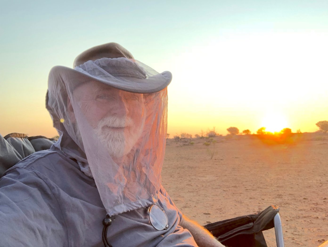 The Australian Mosquito and how to protect yourself | Camp And Travel