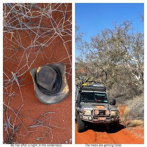 Adventure on the Hay River Track | Camp And Travel